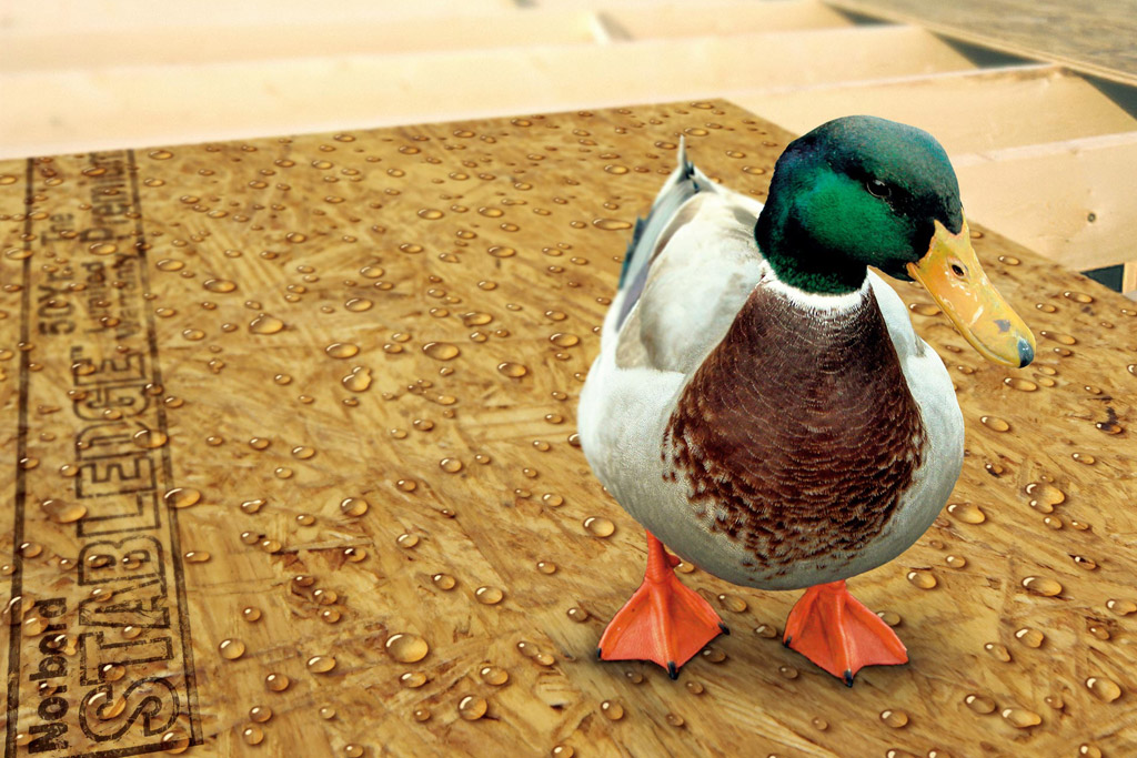 Stabledge Premium Subfloor